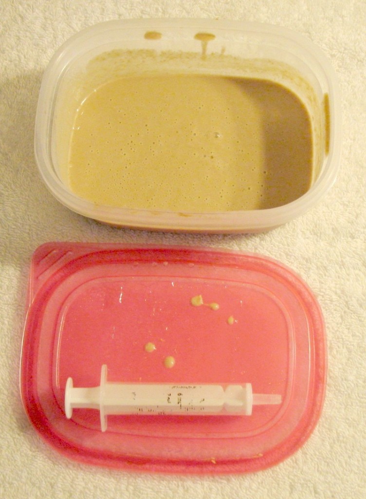 Syringe Feeding – IBDKitties