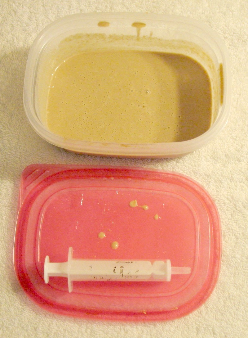 Syringe Feeding – IBDKitties